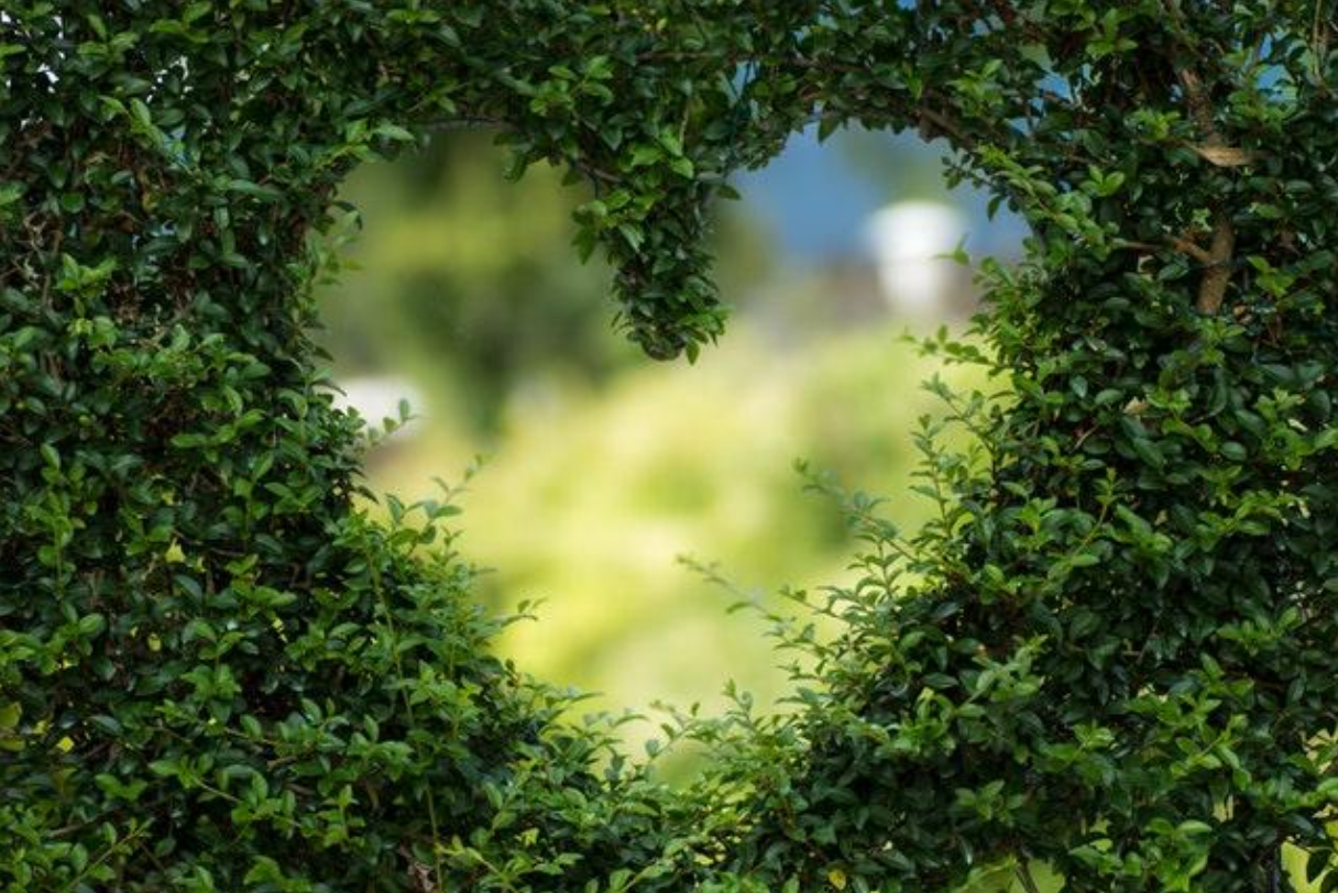 How to Optimize Your Backyard for Your Child with Autism ...